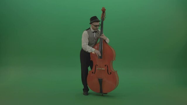 "Bass Fiddle" Images – Browse 25,489 Stock Photos, Vectors, and Video ...