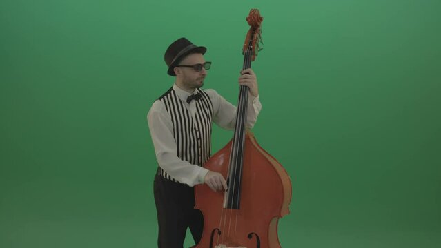 "Bass Fiddle" Images – Browse 16,157 Stock Photos, Vectors, and Video ...