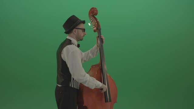 "Bass Fiddle" Images – Browse 15,535 Stock Photos, Vectors, and Video ...