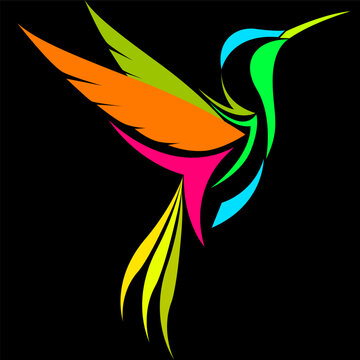 "Hummingbird Vector" Images – Parcourir 346 le catalogue de photos, vecteurs et vidéos | Adobe Stock