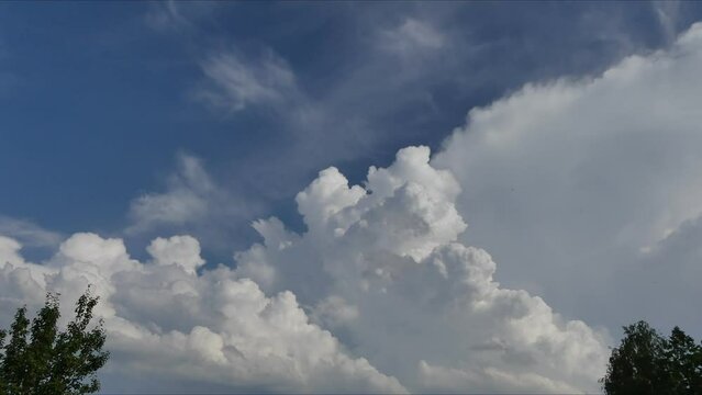 "Gusty Winds" Images – Browse 160 Stock Photos, Vectors, and Video ...