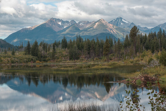 Galyna Andrushko photos, images, assets | Adobe Stock