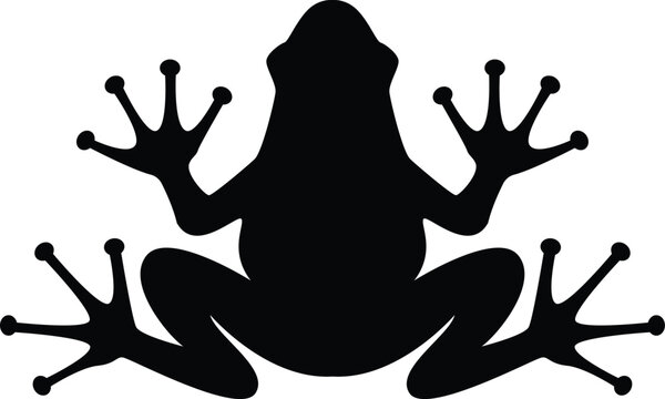 Frog Silhouette