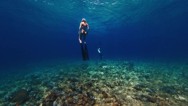 "Skin Diving" Images – Parcourir 6,072 le catalogue de photos, vecteurs ...