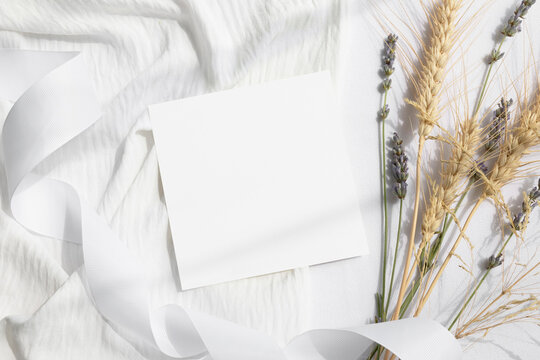 「5X5 Card Mockup」の写真素材 | 78件の無料イラスト画像 | Adobe Stock