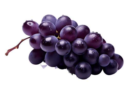 Single Black Grape