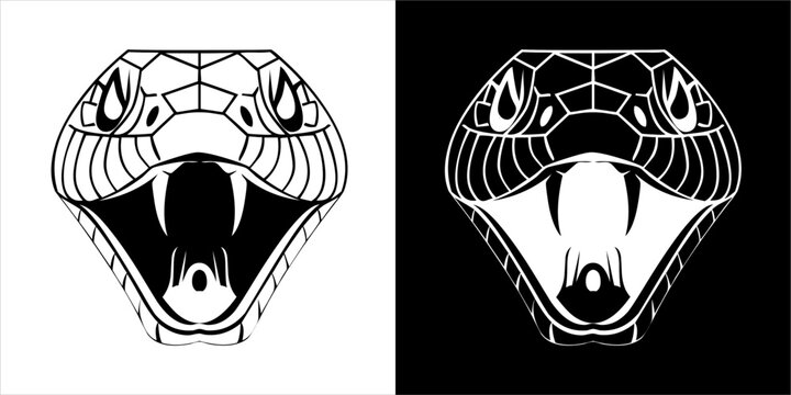 Snake Face Vector