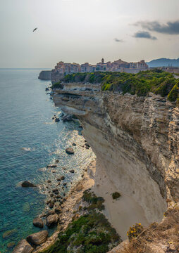 Fazzio Images – Browse 35 Stock Photos, Vectors, and Video | Adobe Stock