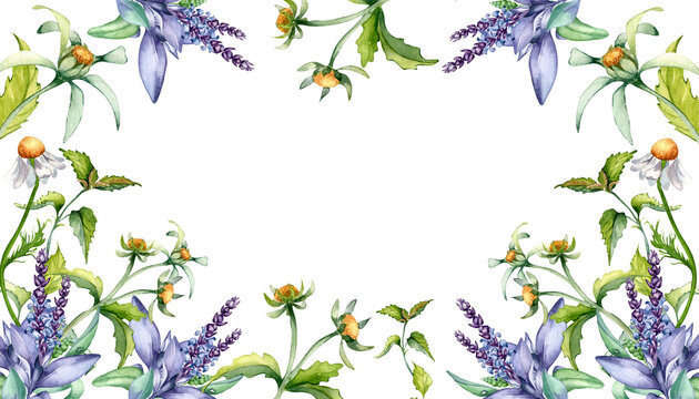 Sage Flower Drawing Images – Browse 14,896 Stock Photos, Vectors, and ...