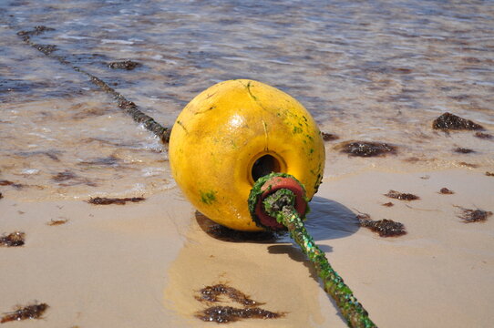 รูปภาพ"Boya – เลือกดูภาพถ่ายสต็อก เวกเตอร์ และวิดีโอ3,731 | Adobe Stock
