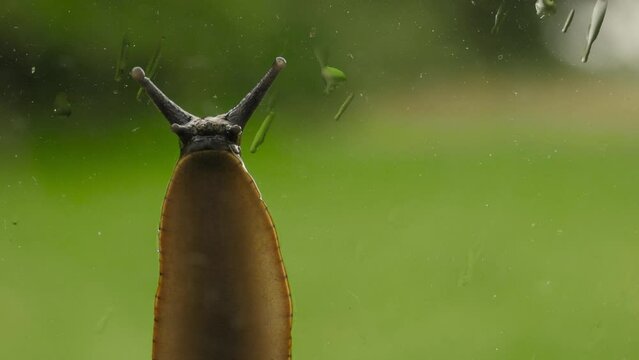 Slugging Images – Browse 96,678 Stock Photos, Vectors, and Video ...