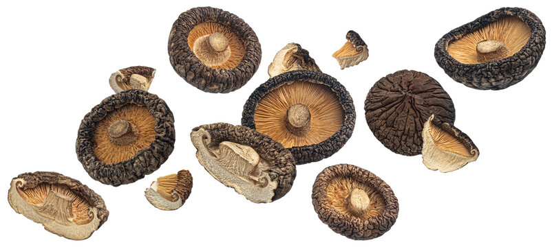 Cooked Sliced Mushrooms White Background Images – Browse 34,047 Stock ...