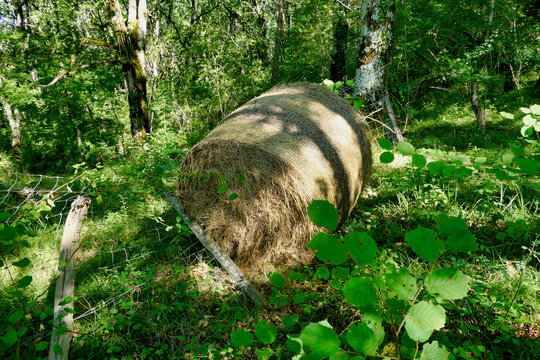 Baler Images – Browse 19,316 Stock Photos, Vectors, and Video | Adobe Stock