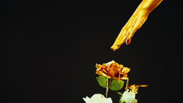 "Midas Touch" Images – Browse 45 Stock Photos, Vectors, and Video ...