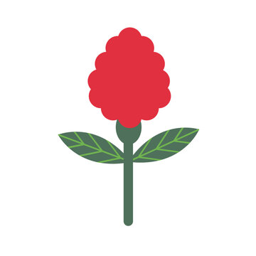 "Globe Amaranth" Images – Browse 7,358 Stock Photos, Vectors, and Video ...
