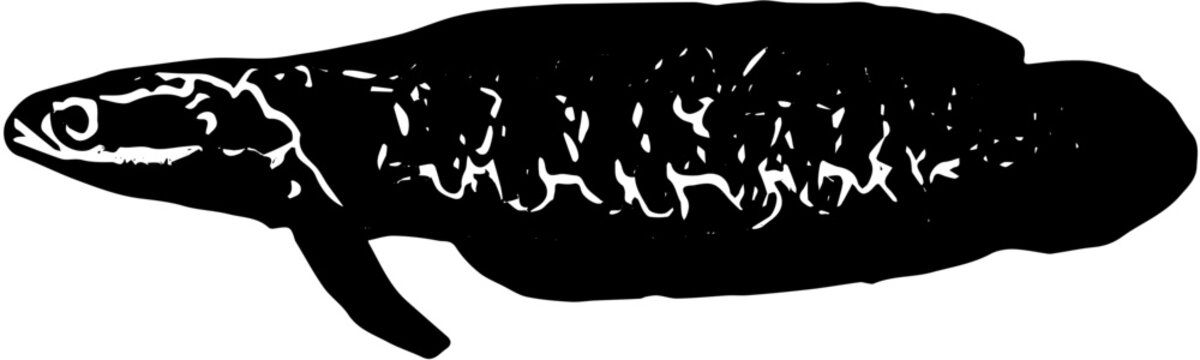 Fishzilla Bilder – Durchsuchen 2,617 Archivfotos, Vektorgrafiken und ...