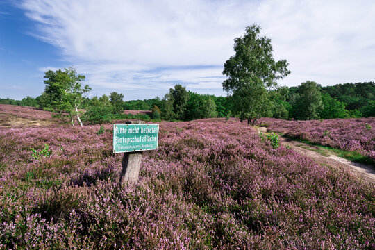 Sandweg Images – Browse 1,170 Stock Photos, Vectors, and Video | Adobe ...