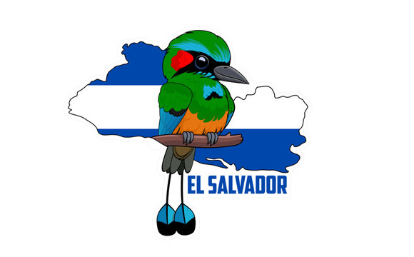 Torogoz-Bilder: Stock-Fotos & -Videos. | Adobe Stock