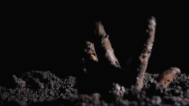 "Dead Man" Images – Browse 5,321 Stock Photos, Vectors, and Video ...