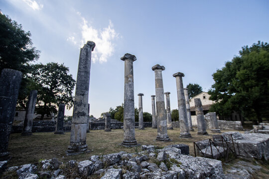 "Orman "-Bilder: Stock-Fotos & -Videos. | Adobe Stock