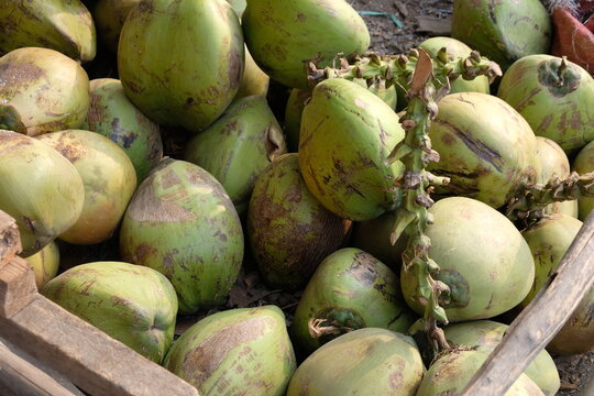 รูปภาพMuda – เลือกดูภาพถ่ายสต็อก เวกเตอร์ และวิดีโอ3,351 | Adobe Stock