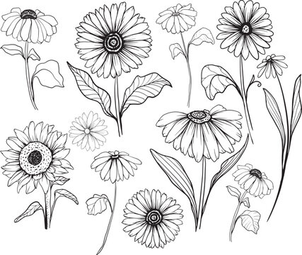 Single Flower Drawing Images – Browse 223,146 Stock Photos, Vectors ...