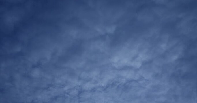 meegi photos, images, assets | Adobe Stock