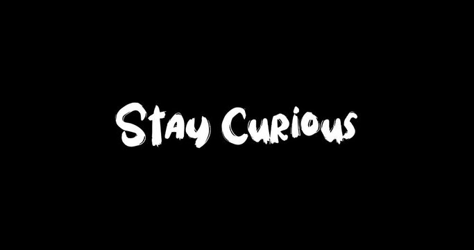 "Stay Curious" Images – Browse 67 Stock Photos, Vectors, and Video ...