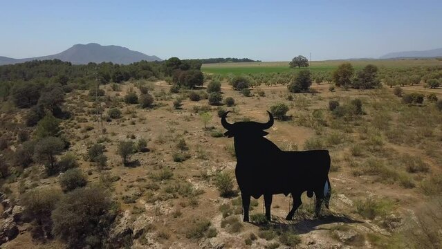 "Osborne Stier" Bilder – Durchsuchen 82 Archivfotos, Vektorgrafiken und ...