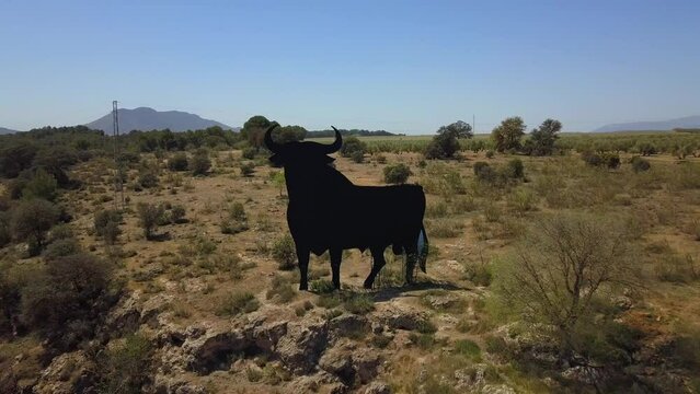 "Osborne Stier" Bilder – Durchsuchen 82 Archivfotos, Vektorgrafiken und ...