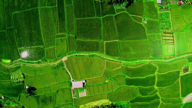 Divided Path Images – Browse 6,148 Stock Photos, Vectors, and Video ...