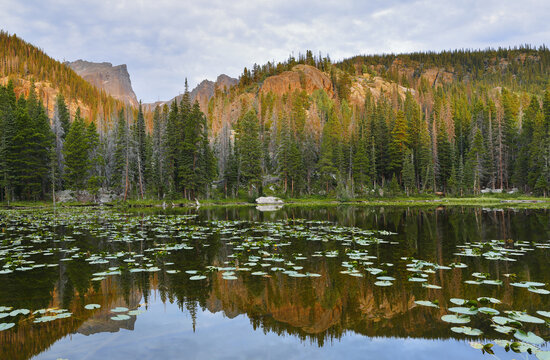"Nymph Lake" Bilder – Durchsuchen 226 Archivfotos, Vektorgrafiken und ...