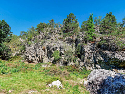 รูปภาพ"Grosser – เลือกดูภาพถ่ายสต็อก เวกเตอร์ และวิดีโอ6,886 | Adobe Stock