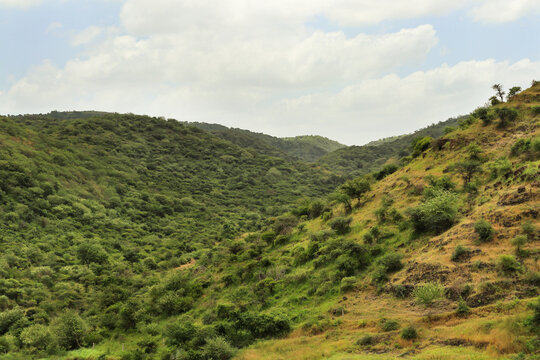 "Gir Forest" Images – Browse 326 Stock Photos, Vectors, and Video ...