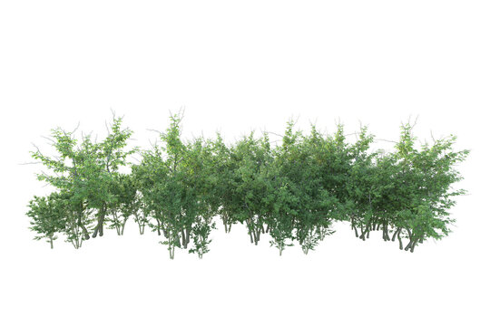 Photoshop Cut Out Plants Cutout Artificial Farm Vegetation Toffu Co