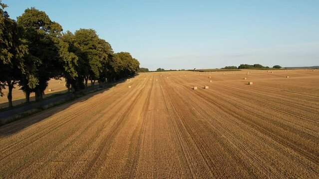 "Hay Making" Imagens – Procure 1,936 fotos, vetores e vídeos | Adobe Stock