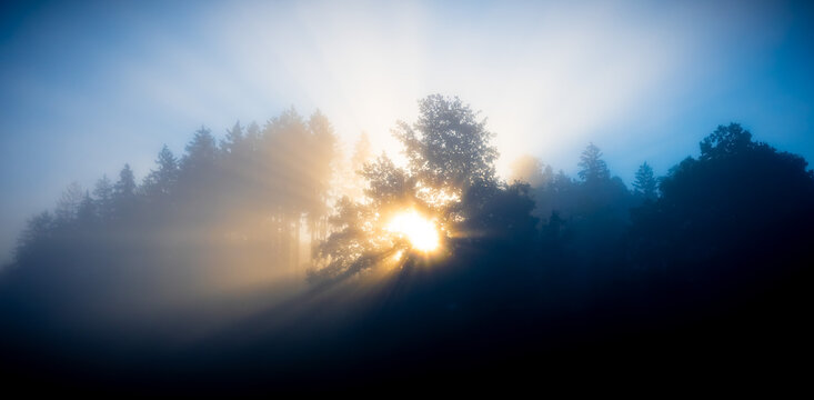 รูปภาพNebelig – เลือกดูภาพถ่ายสต็อก เวกเตอร์ และวิดีโอ14,118 | Adobe Stock