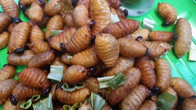 "Coconut Worm"-Bilder: Stock-Fotos & -Videos. | Adobe Stock