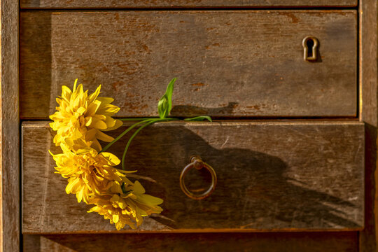 「Hello Sadness」の写真素材 | 487件の無料イラスト画像 | Adobe Stock
