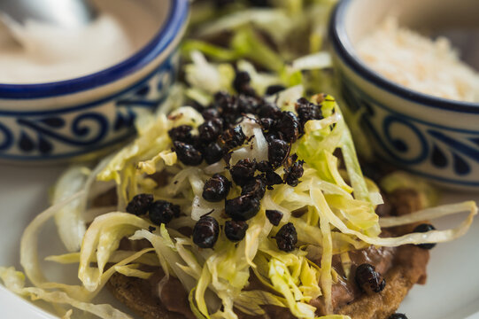 Chicatana Images – Browse 53 Stock Photos, Vectors, and Video | Adobe Stock