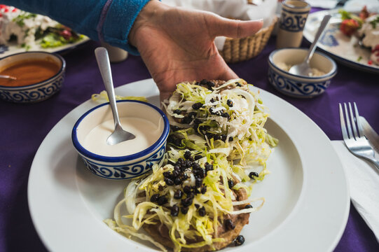 Chicatana Images – Browse 52 Stock Photos, Vectors, and Video | Adobe Stock