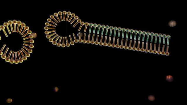 Sirna Images – Browse 185 Stock Photos, Vectors, and Video | Adobe Stock