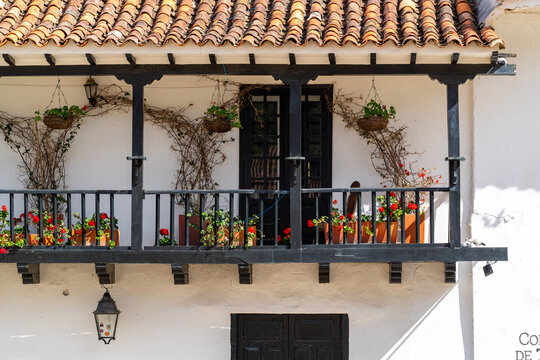 Villalobos Images – Browse 14 Stock Photos, Vectors, and Video | Adobe ...