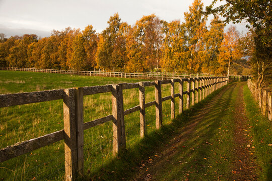 Countrified Bilder – Durchsuchen 4,274,108 Archivfotos, Vektorgrafiken ...