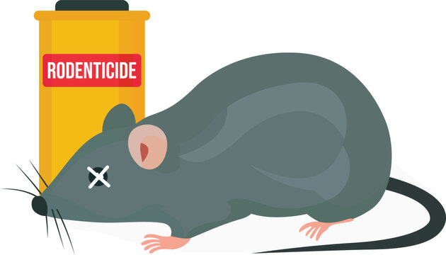 "Rat Poison" Images – Browse 1,064 Stock Photos, Vectors, and Video ...