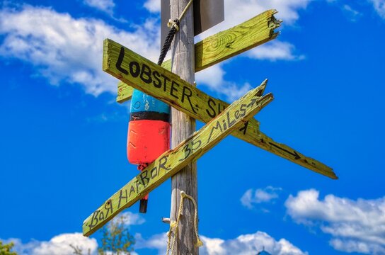 Lobsta Images – Browse 8 Stock Photos, Vectors, and Video | Adobe Stock