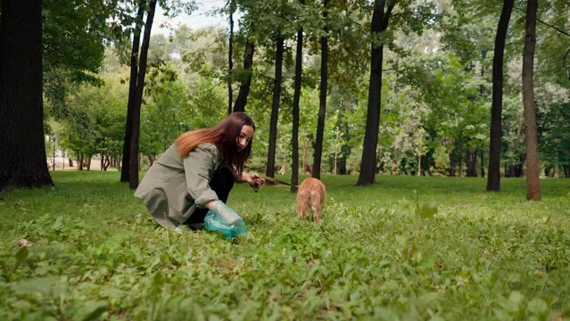 Picking Up Poop Images – Browse 3,457 Stock Photos, Vectors, and Video ...