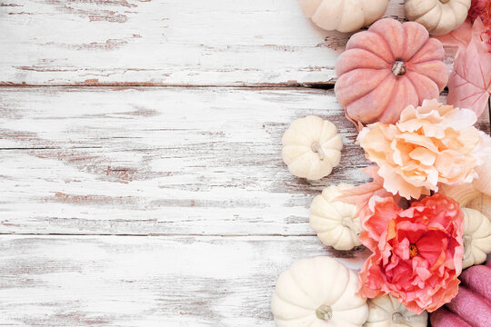 Pink Pumpkin Background Images – Browse 25,461 Stock Photos, Vectors ...