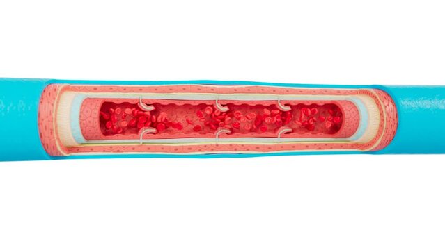 Backflow Valve Images – Browse 171 Stock Photos, Vectors, and Video ...