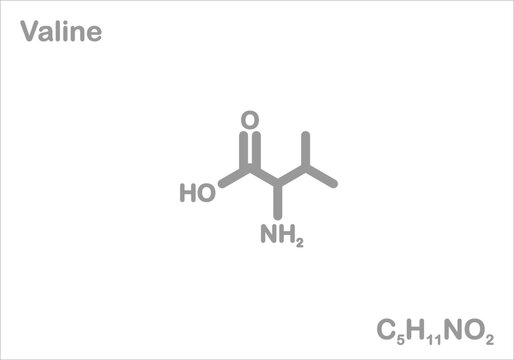 รูปภาพValine – เลือกดูภาพถ่ายสต็อก เวกเตอร์ และวิดีโอ1,151 | Adobe Stock